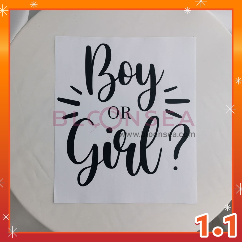 Baby Gender Boy or Girl? Sticker Bobo Crystal Hot Balloon Bucket Shower ...