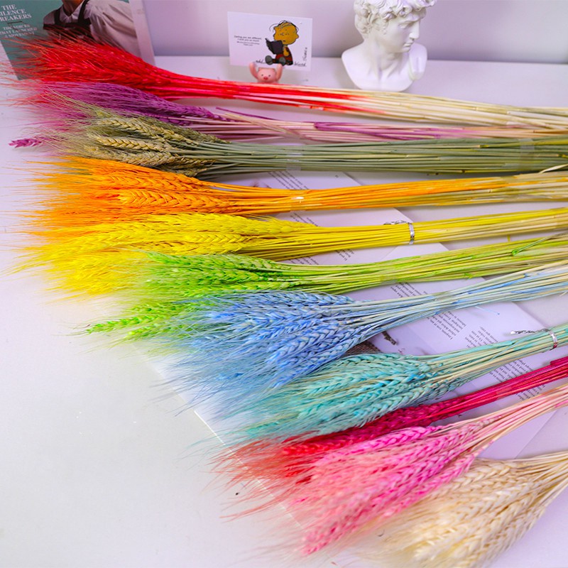 Dried Wheat Flower (5 long stems) Natural Dried Flower Cake Topper ...