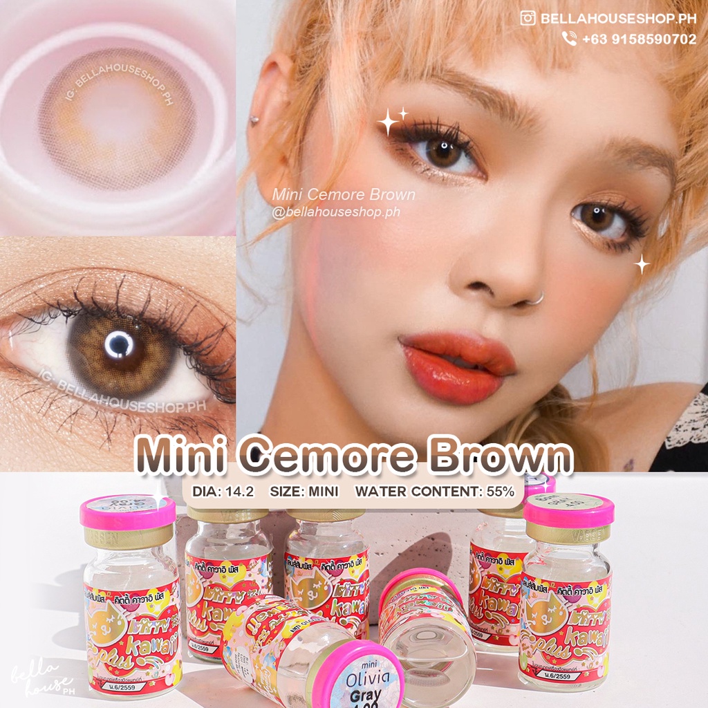 Kitty Kawaii - Mini Cemore Brown (Nongraded, Graded Natural Contact ...