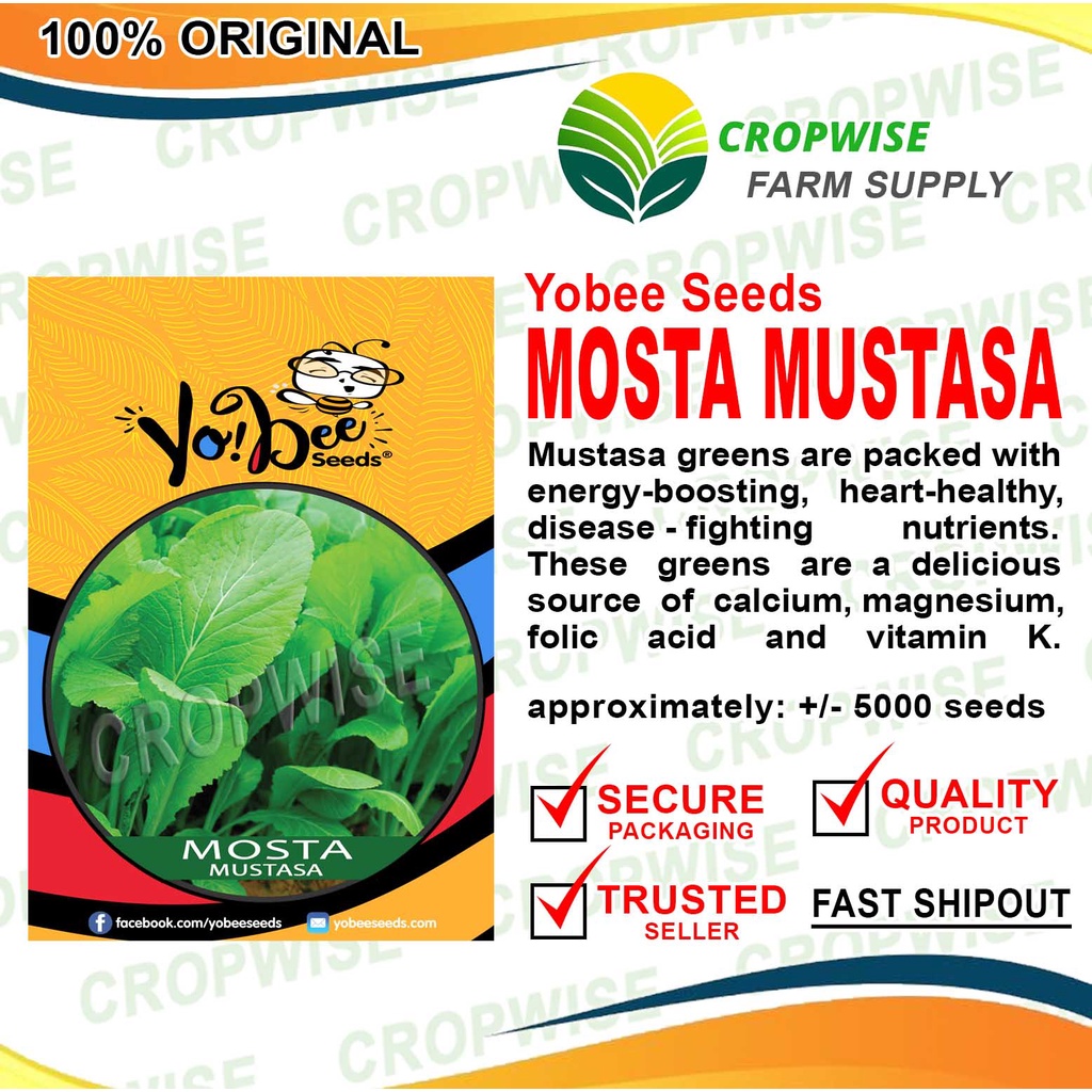 YOBEE SEEDS MOSTA (MUSTASA) POUCH | Shopee Philippines