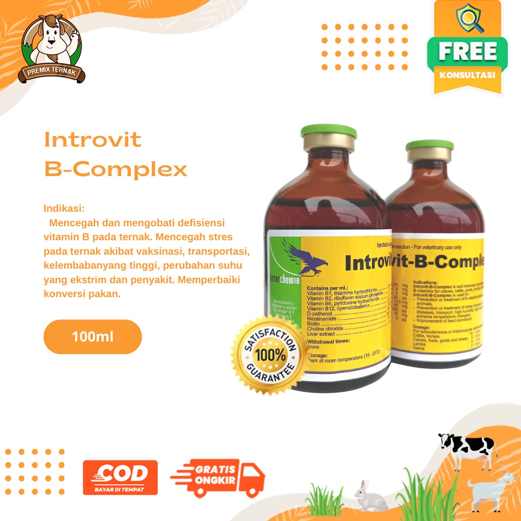 Introvit B COMPLEX 100ml Original - (HIGH AND BIOTIN CONCENTRATION ...