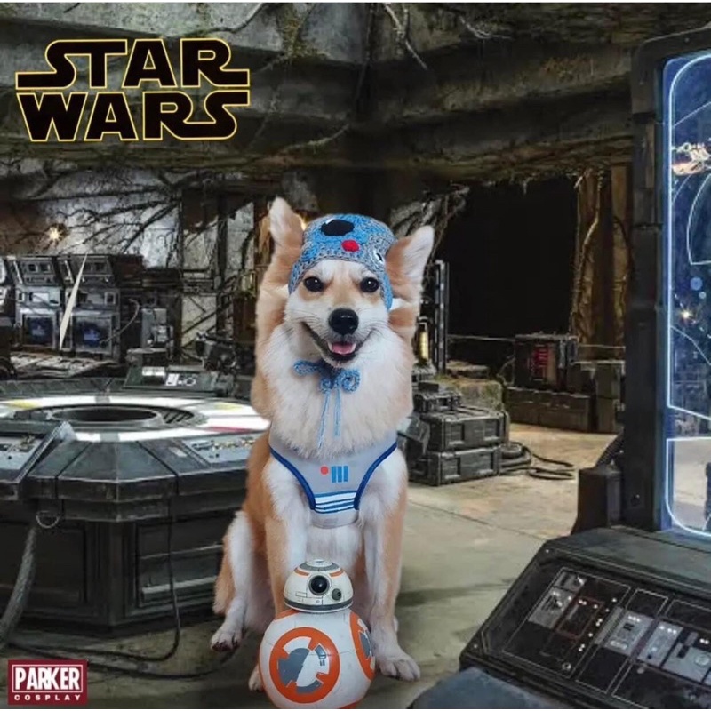 Crocheted Inspired R2 D2 Dog Hat (made upon order) | Shopee Philippines