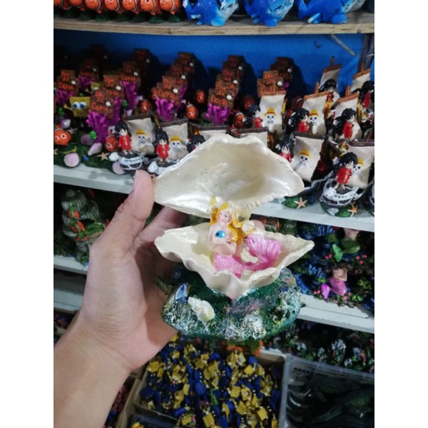Pop up clam shell aquarium accessories | Shopee Philippines
