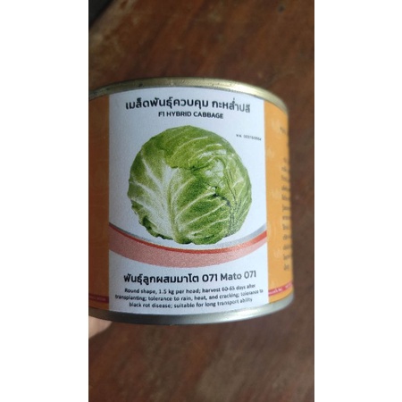 IN & CO F1 HYBRID WONDERBALL CABBAGE SEED 100 g | Shopee Philippines