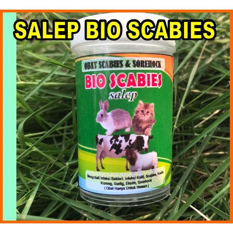 Rabbit scabies Medicine, Rabbit scabies Ointment, Rabbit scabies ...