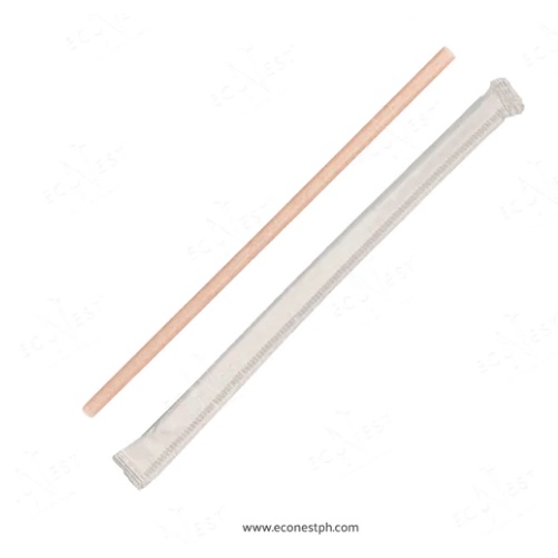 Econest Eco-Friendly Individually Wrapped Straws – Sustainable, and ...