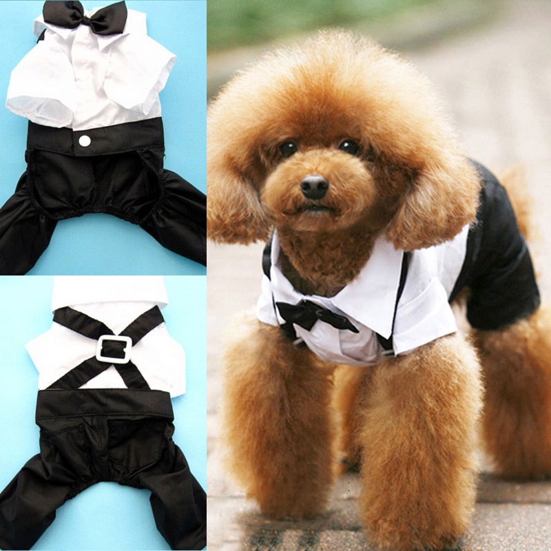 Dog Clothes for Shih Tzu Terno Tuxedo Bow Tie Suit Pet Outfit Puppy ...