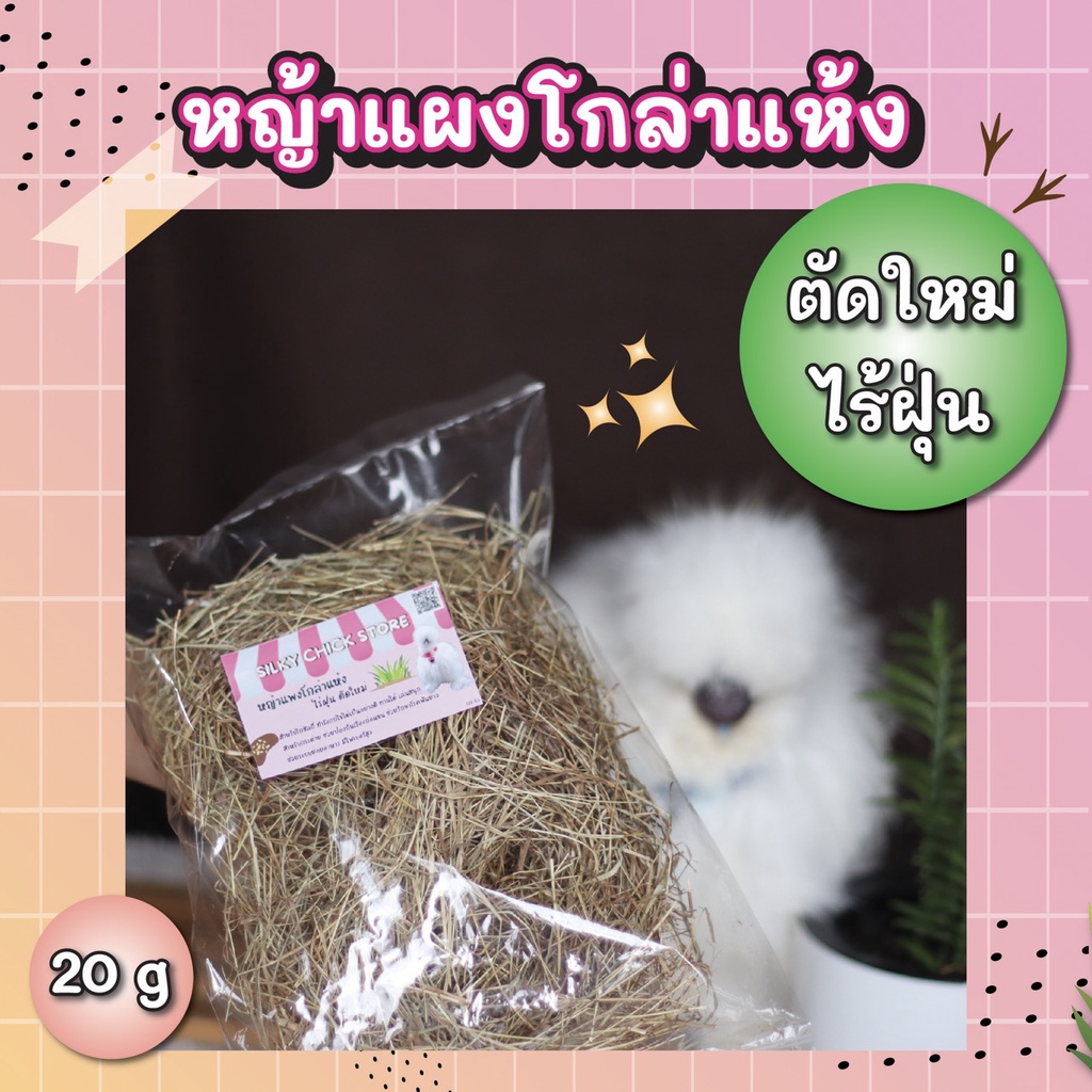 Dried Pangola Grass For Pets | Shopee Philippines