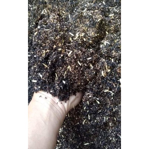 1kg Garden Soil, Loam Soil, Organic soil, Potting Mix, Vermi, Black ... 1kg Garden Soil, Loam Soil, Organic soil, Potting Mix, Vermi, Black ...