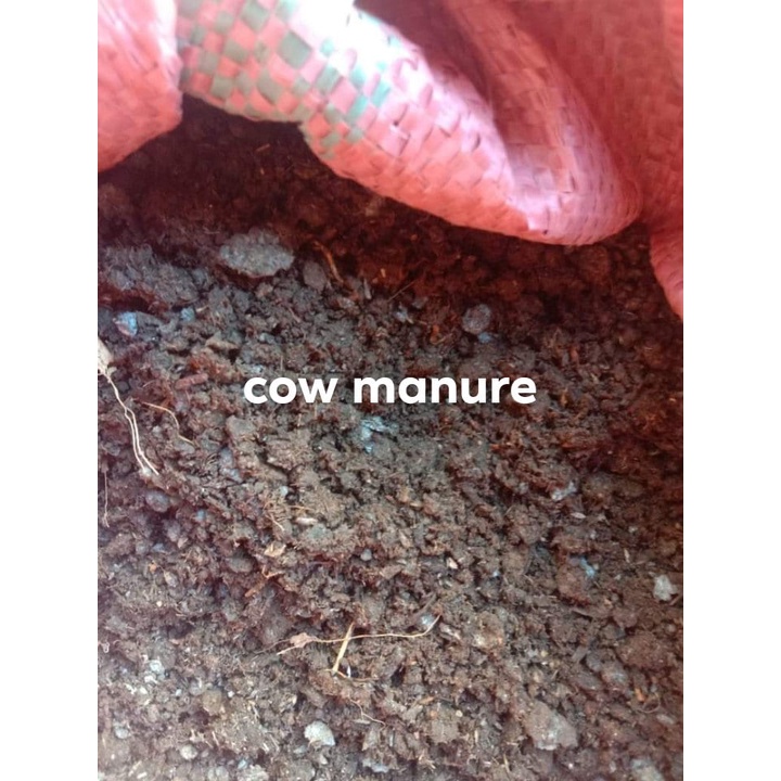 COMPOSTED COW MANURE FOR SALE per SACK (15kg) | Shopee Philippines