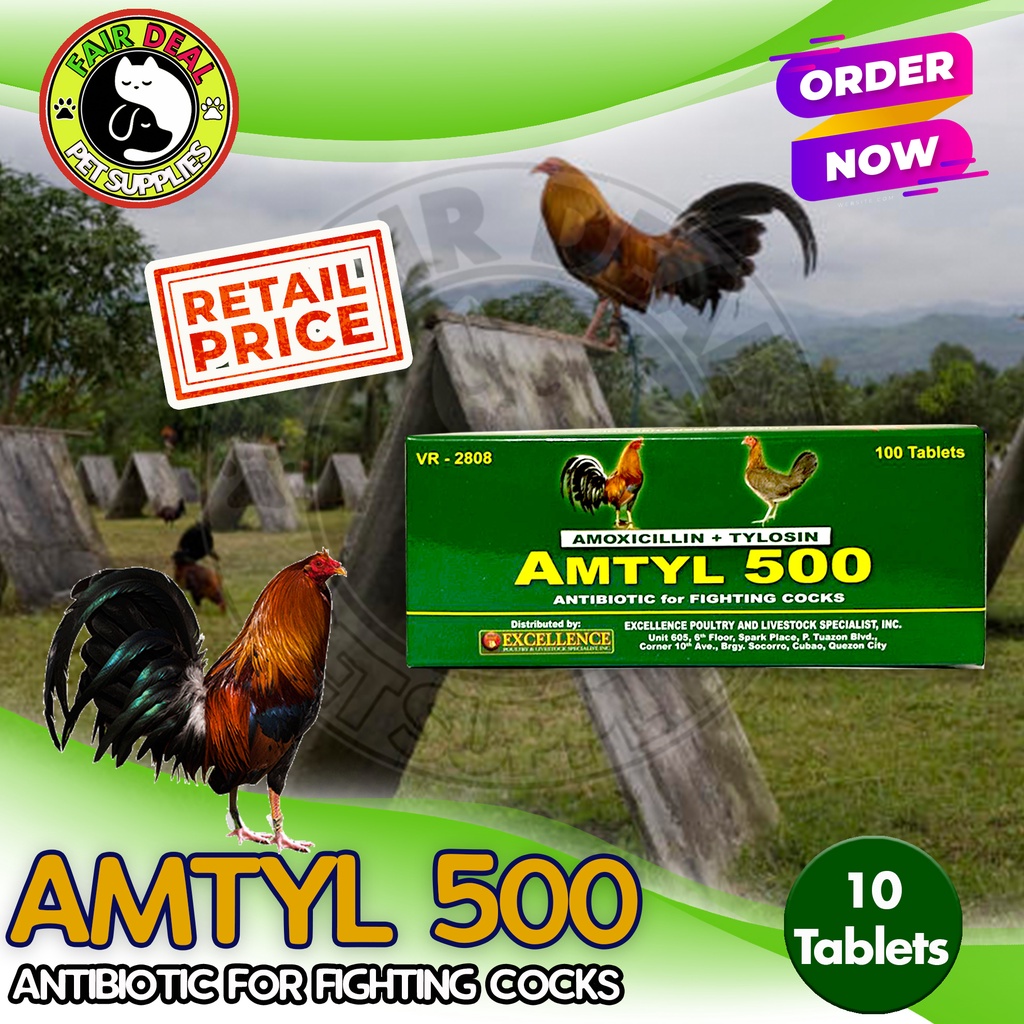 AMTYL 500 Fighting Cocks 1 Banigx10 Capsules | Shopee Philippines