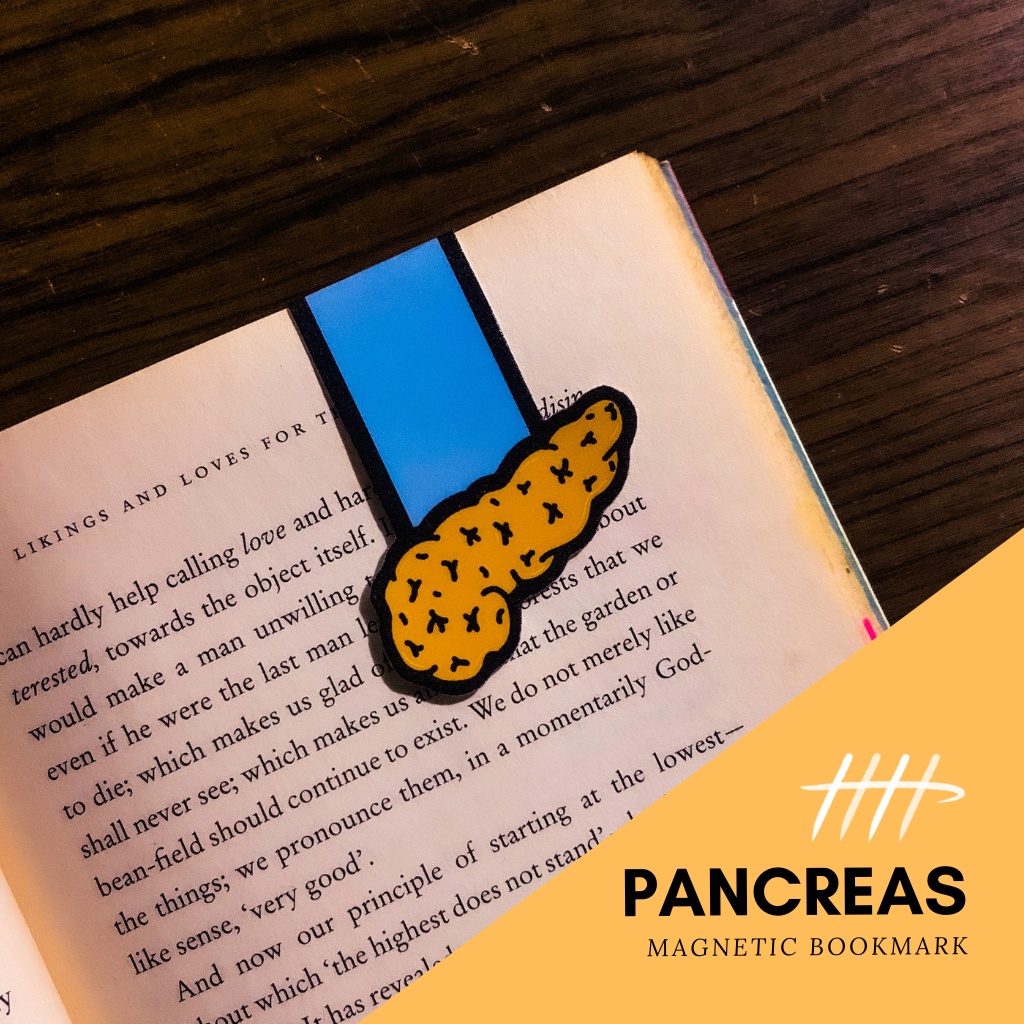 HUMAN ANATOMY ORGANS MAGNETIC BOOKMARK | Shopee Philippines