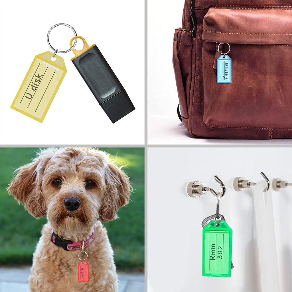 Vaincre 20 Pack Key Tags - Plastic Key Tags With Labels, Flexible Key ...