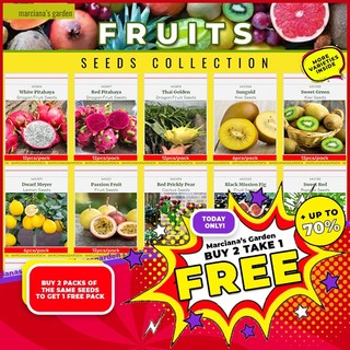 RARE FRUIT SEEDS COLLECTION - Heirloom Fruits Seeds Collection - Dragon ...
