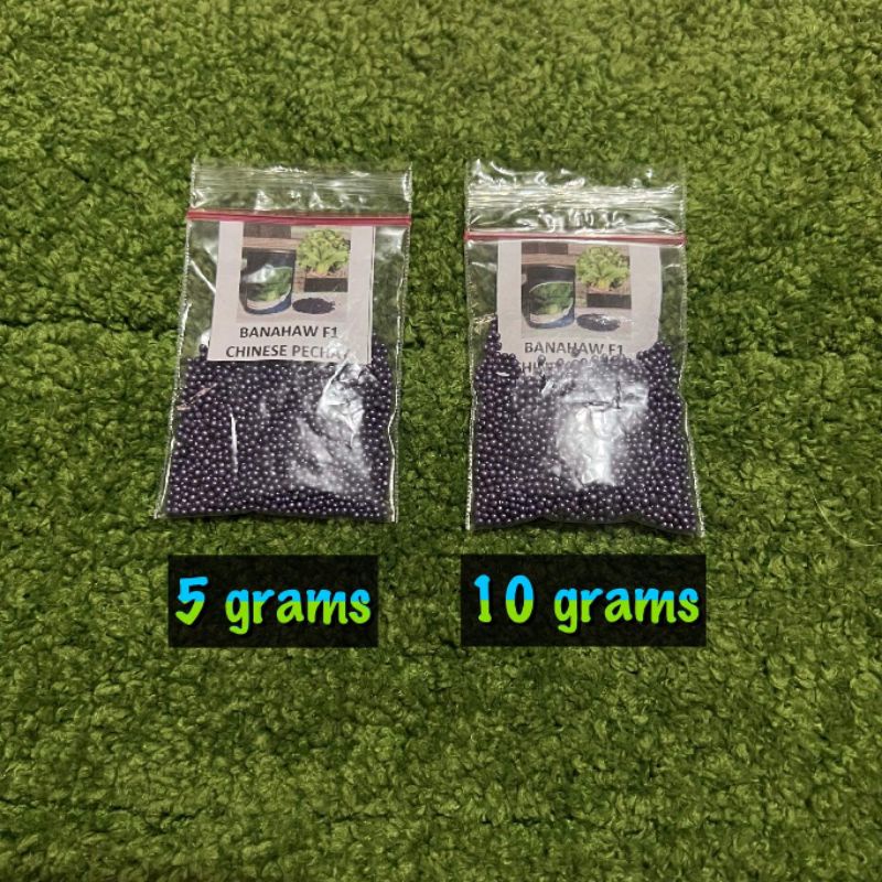 BANAHAW F1 PAKCHOI CHOY BOKCHOI SEEDS CHIA TAI HYBRID CHINESE PECHAY ...