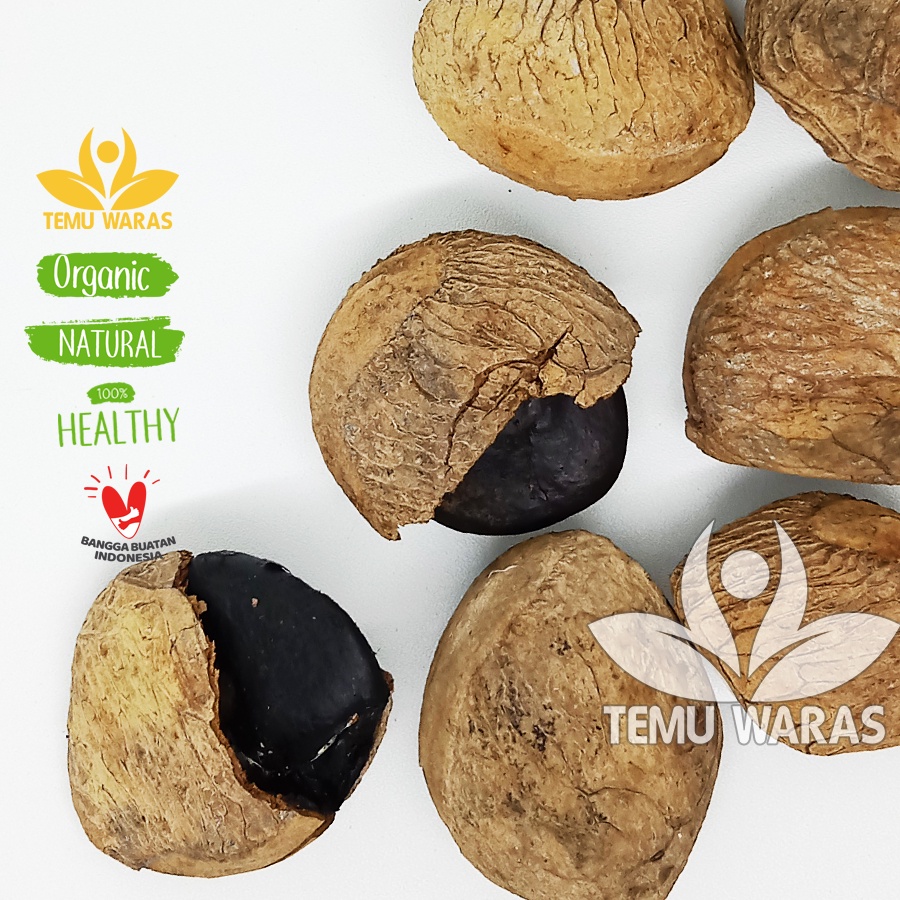 Kluwek 500gr/Kepayang/Keluak/Super Kluwak - Original Gunung Merapi ...