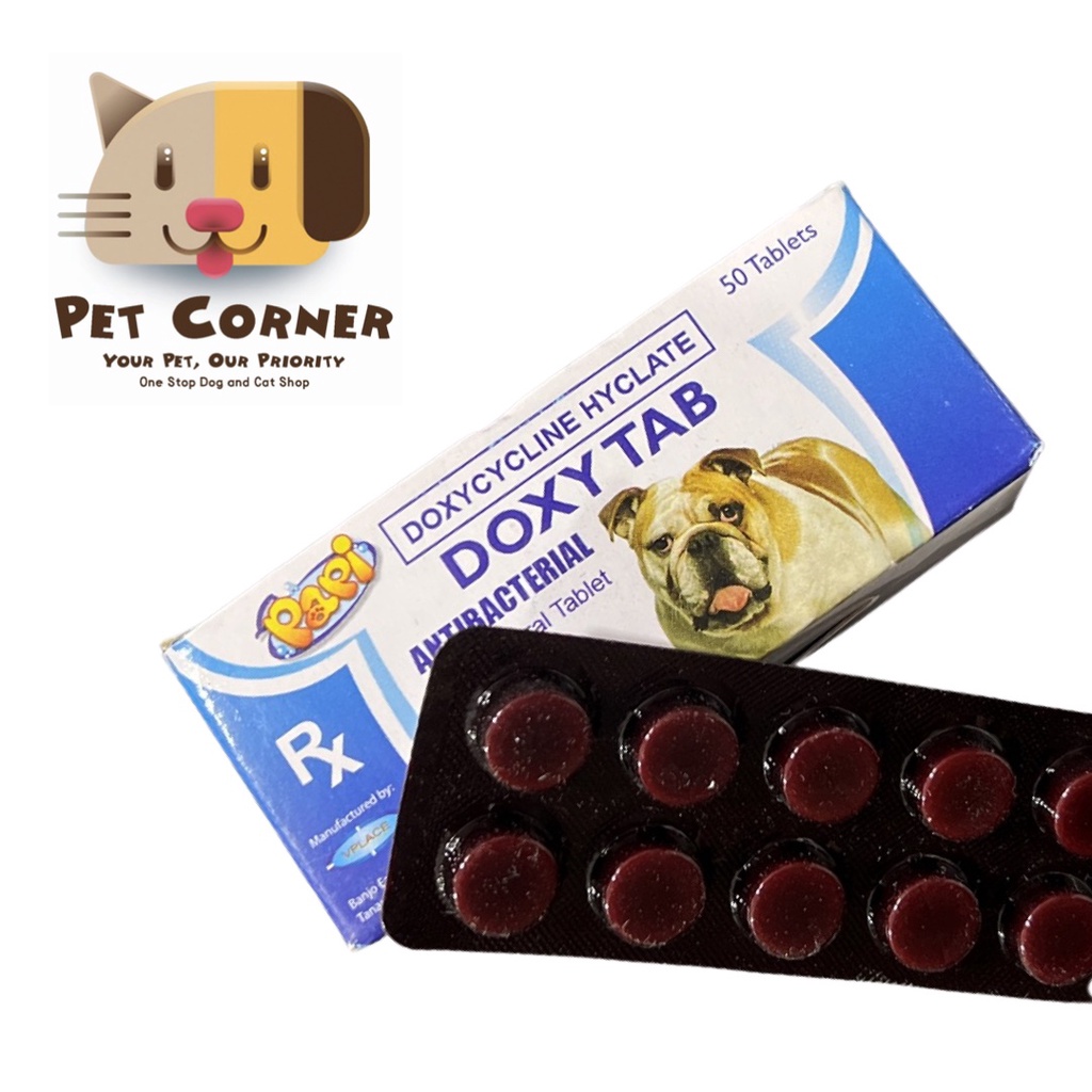 PAPI DOXY TABLET 100MG | Shopee Philippines