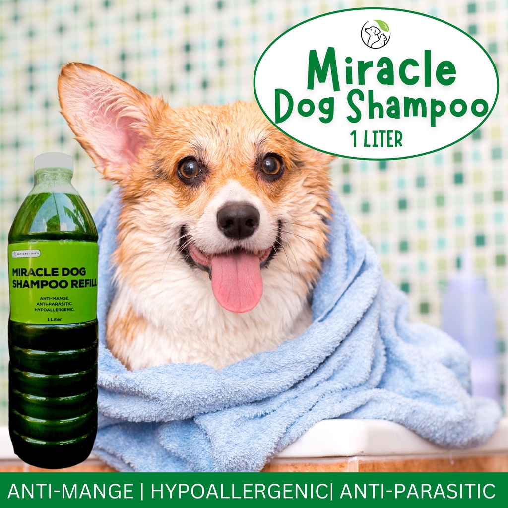 Miracle Dog Shampoo 1 LITER | HIGHLY RECOMMENDED DOG SHAMPOO | SAFE AND ...