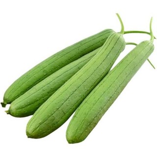 Smooth Patola Seeds ( Hybrid) 10 Seeds - 1 pack | Shopee Philippines