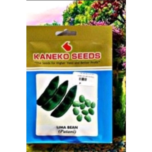 PATANI / KINCHAY / CARROTS / KAILAAN SEEDS (KANEKO / CONDOR ORIGINAL ...