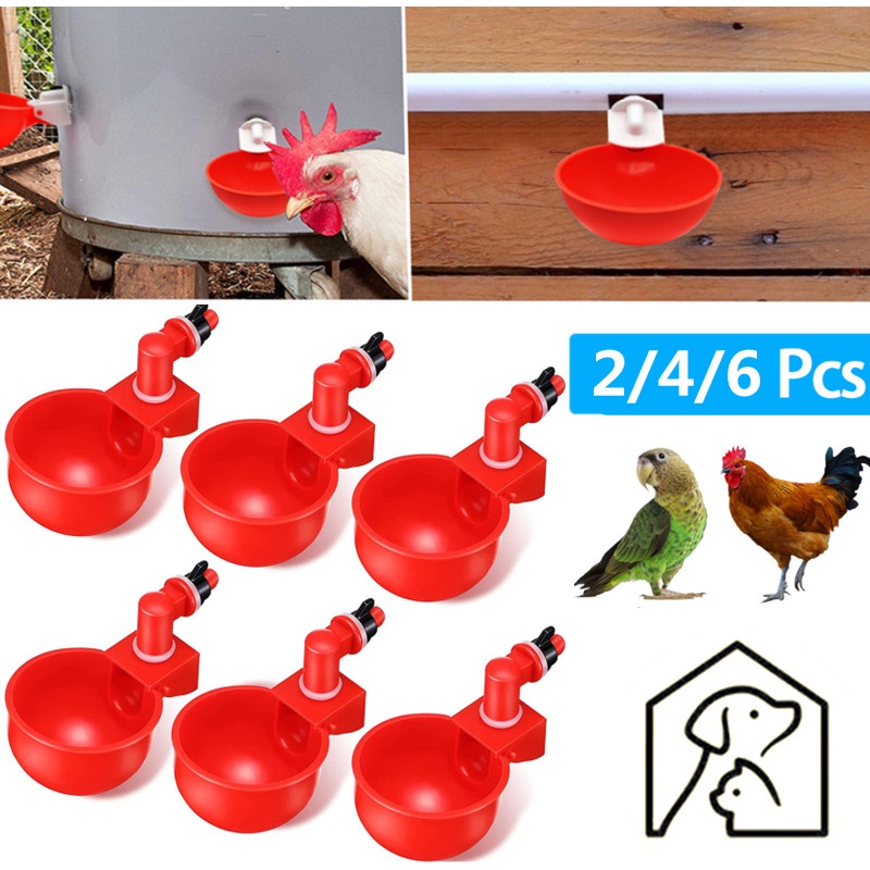 【COD】Chicken water drinker Automatic Chick Duck Goose Waterer Bowl ...