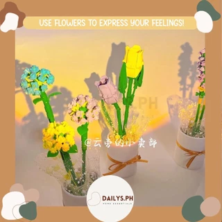 DailysPH, Online Shop | Shopee Philippines