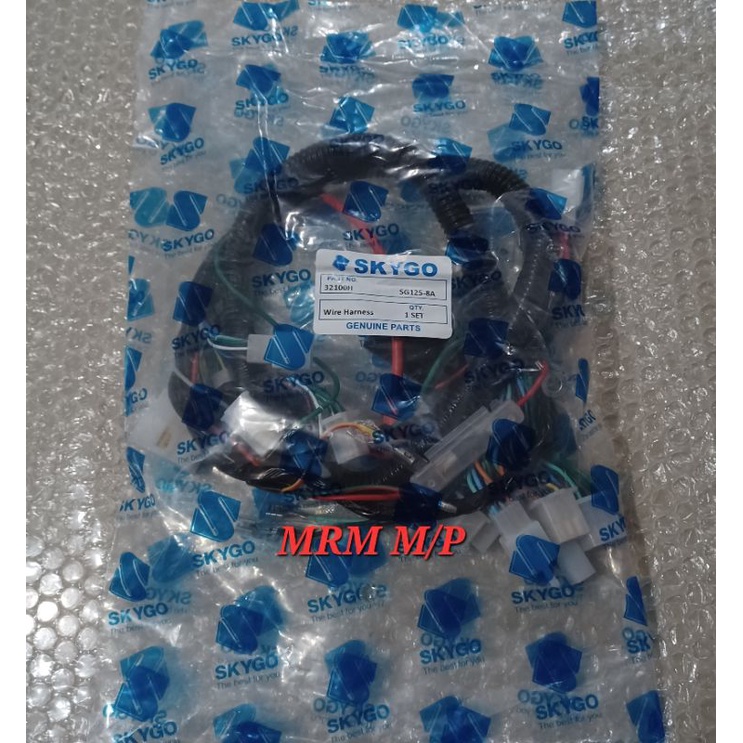 SKYGO WIZARD 125 / PRINCE 125 WIRE HARNESS | Shopee Philippines