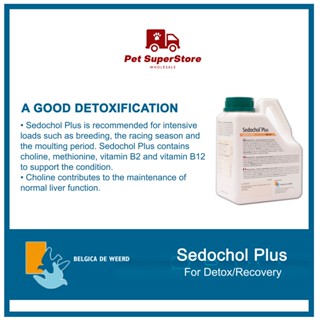 Belgica De Weerd Supplement - Sedochol Plus (Support for Racing Pigeon ...