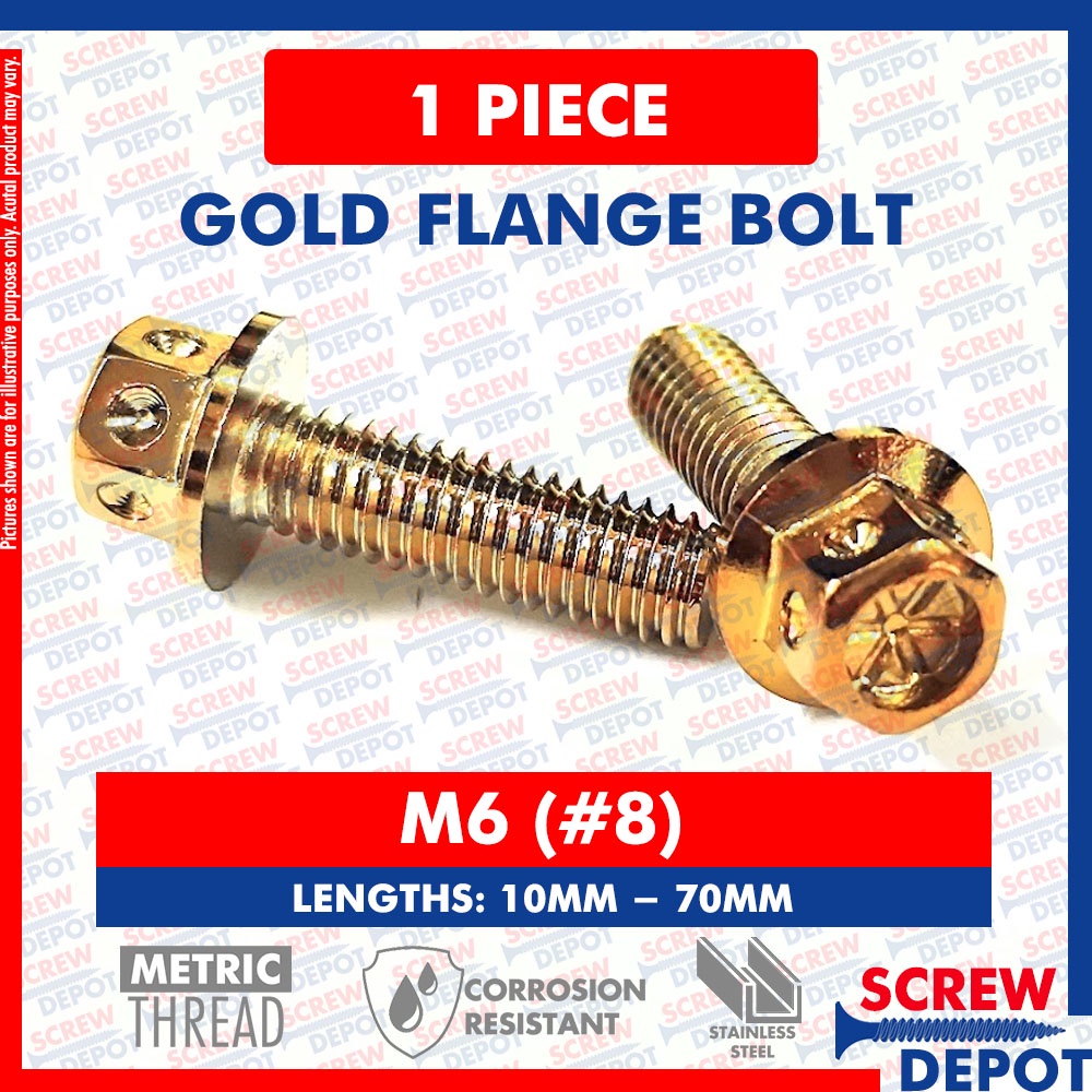 1PC M6 Gold Flange Bolt / Motor Crank Bolt / Heng Bolt Crankcase ...