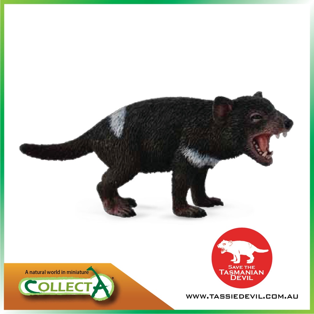 Collecta Wildlife Toy Model Tasmania Demon Bag Badger 88656 | Shopee ...