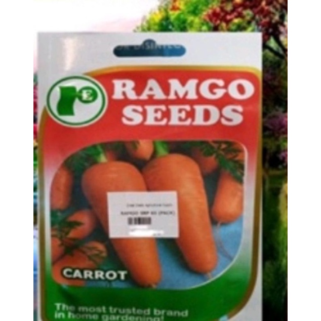 PATANI / KINCHAY / CARROTS / KAILAAN SEEDS (KANEKO / CONDOR ORIGINAL ...