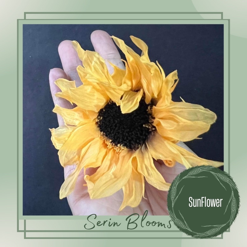 Preserved Sunflower sold per piece | Shopee Philippines