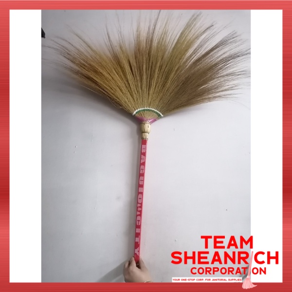 Medium Walis Tambo - Baguio Regular Size - Soft broom Double Sewing ...