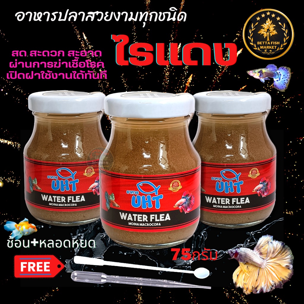 UHT Red Mite Fish Food For Guppy Betta Ornamental | Shopee Philippines