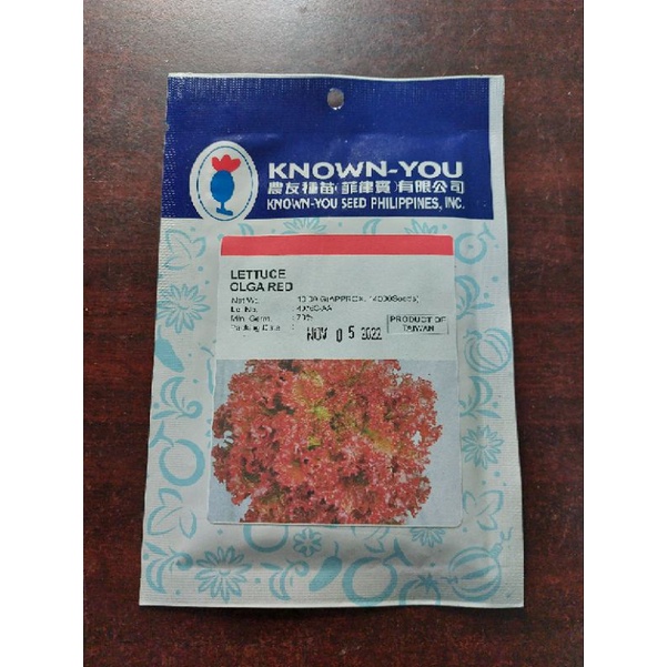 OLGA RED LETTUCE (10 grams) by Known-You | Shopee Philippines