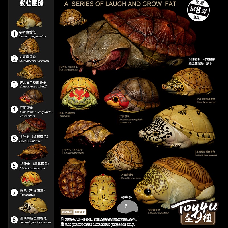 Animal Planet Turtle Heart Wide Body Fat Eighth Bullet Narrow Bridge ...