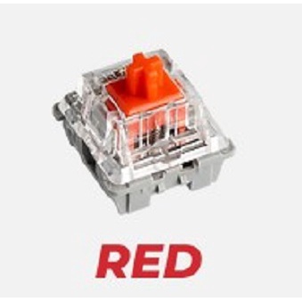 Tecware Phantom+ RGB TKL 87 keys Wraith Mechanical Keyboard (BROWN ...