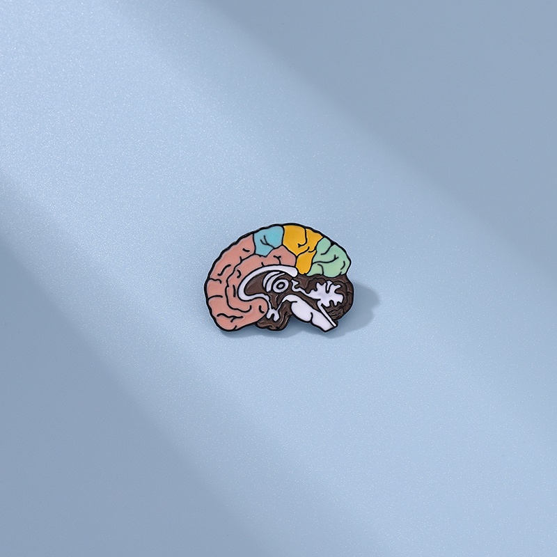 Colorful Anatomy Enamel Pin Brain Structure Brooch Badges Lapel Pin ...