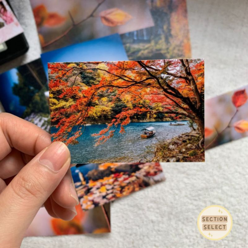 Wallet Sized and Grad Pic Size Photo Prints | Shopee Philippines