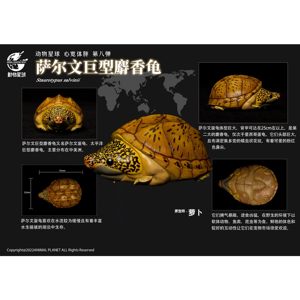 Animal Planet Turtle Heart Wide Body Fat Eighth Bullet Narrow Bridge ...
