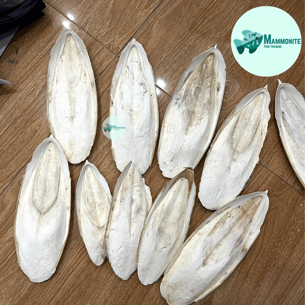 Pet Bird Cuttlebone Fish Peck Calcium Shell per piece for lovebird ...