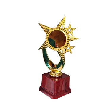 Universal Star Trophy Awards 2022Trophy (Gold) Height 24 CMS customize ...