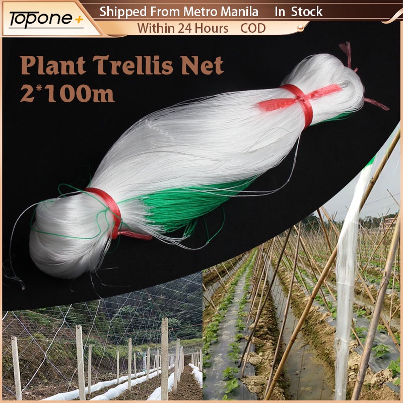 2x100M Plant Climbing Net Yam Cucumber Trellising Vegetables Fruit ...