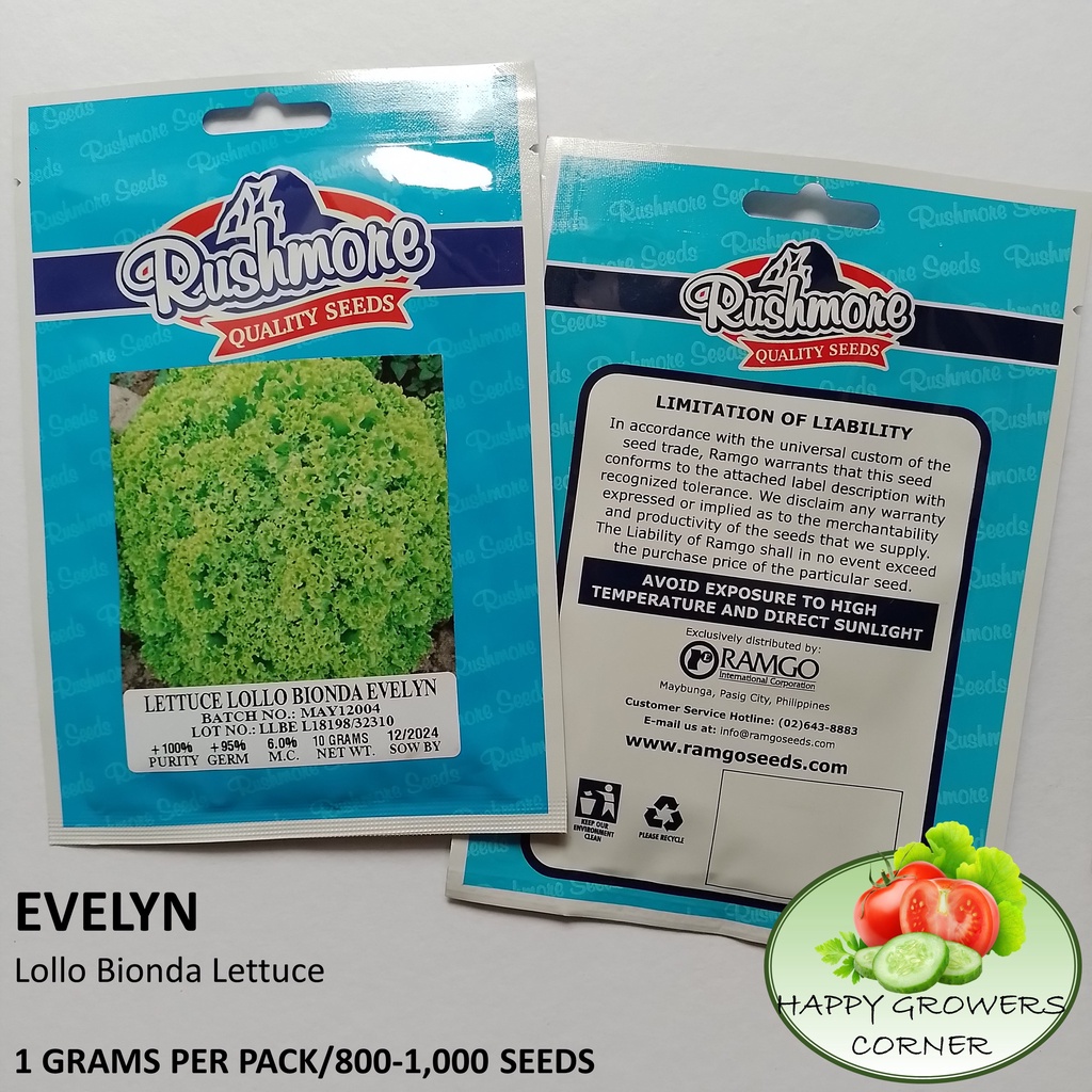 Lollo Bionda Evelyn, Lollo Rossa Red Cosmic Lettuce Seeds by Rushmore ...