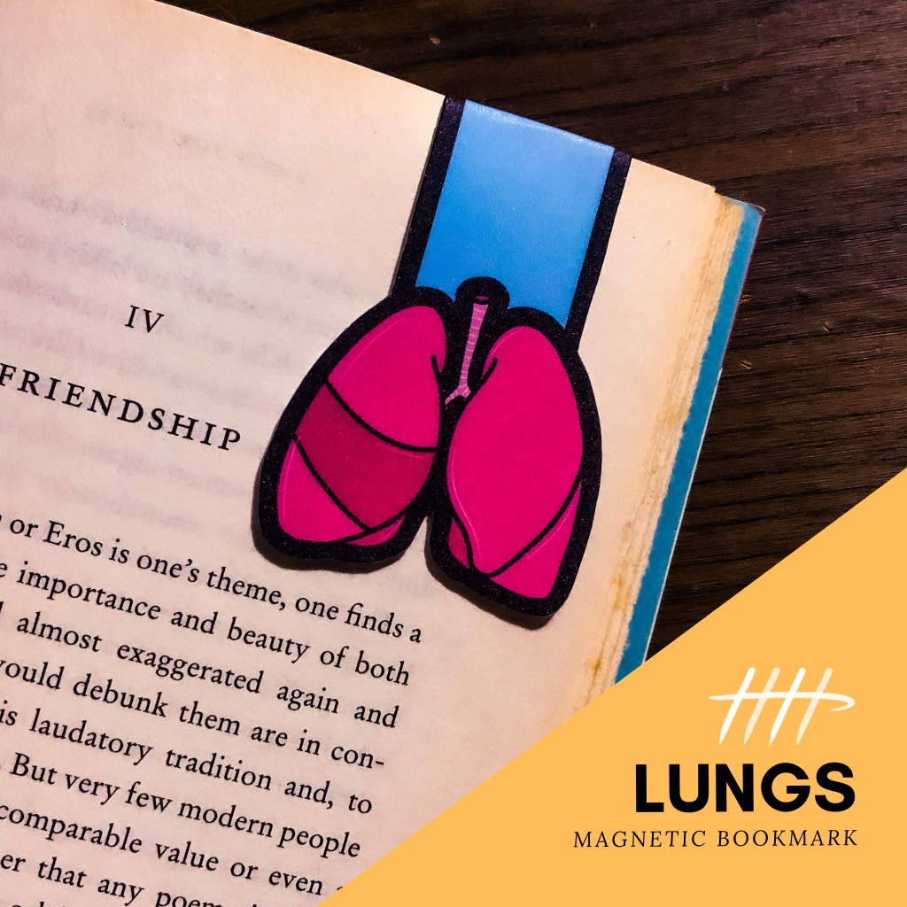 HUMAN ANATOMY ORGANS MAGNETIC BOOKMARK | Shopee Philippines