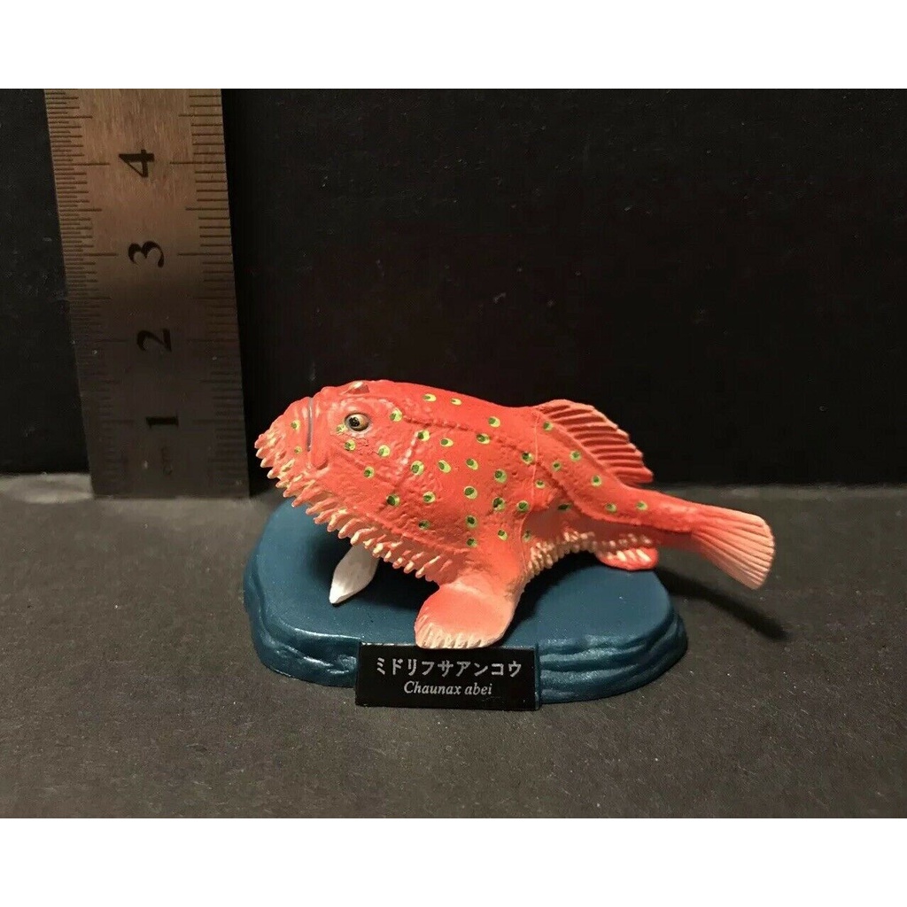 Kaiyodo Aquarium Exclusive Deep Sea Toadfish Chaunax Abei New MIP ...