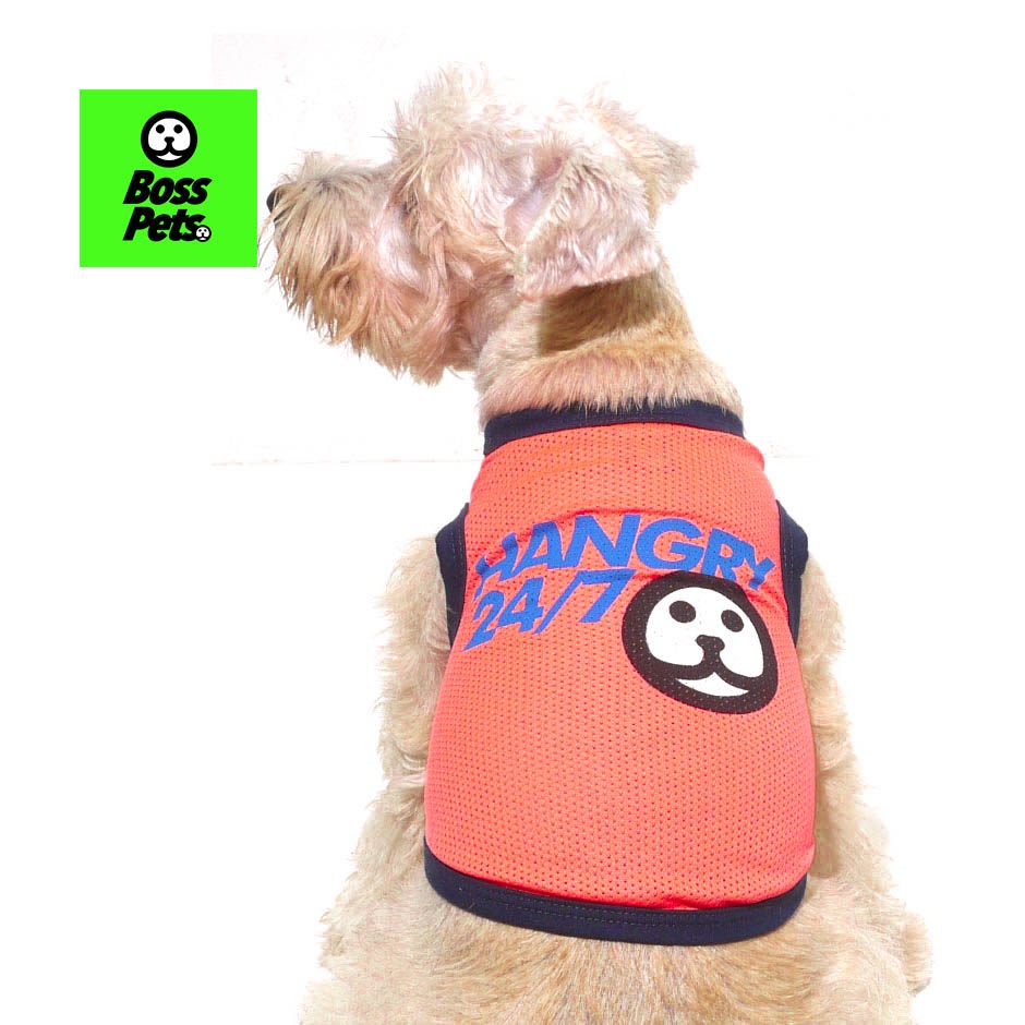 BOSS PETS Hangry (Pet Sando) | Shopee Philippines