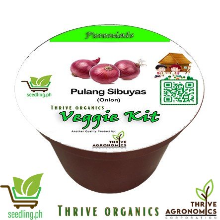 Pulang Sibuyas Onion Veggie Kit Grow Kit Seedling Kit Planting Kit ...