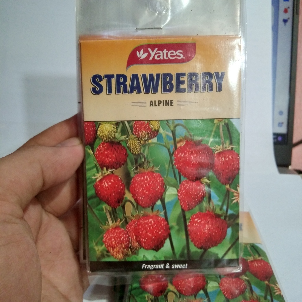 Strawberry Seeds Hybrid strawberry seeds Sealed unsealed packaging Fast ...