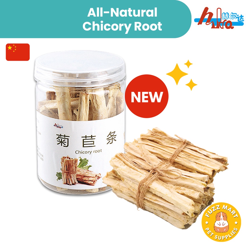Chicory Root Natural Treats for Guinea Pigs, Rabbits, Hamsters | Shopee ...
